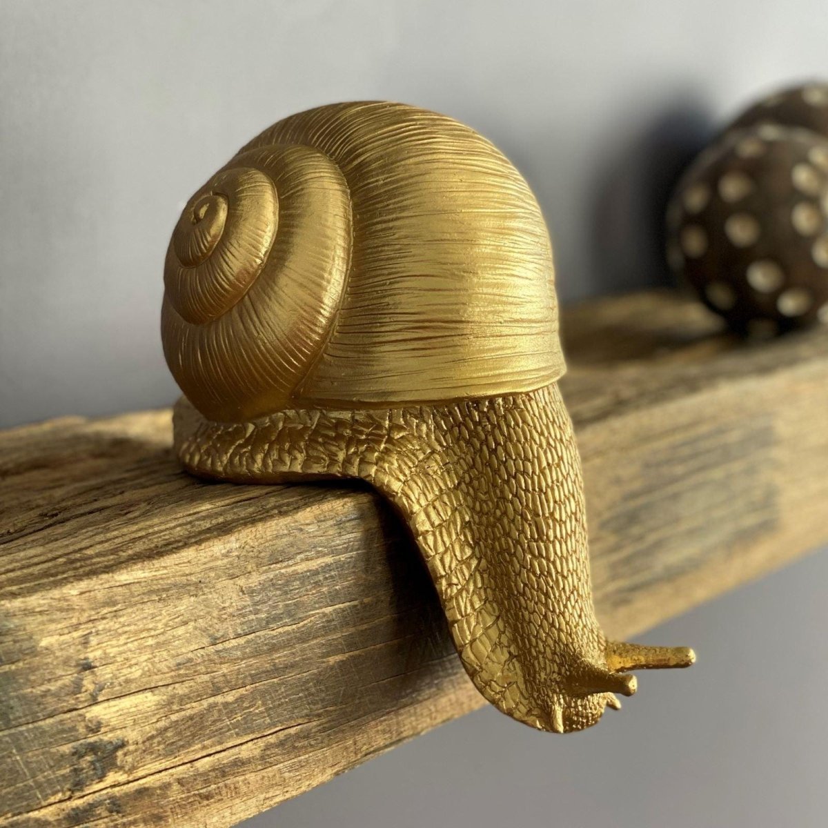 The Gold Snail and White Moose. – Ruby's Home Store